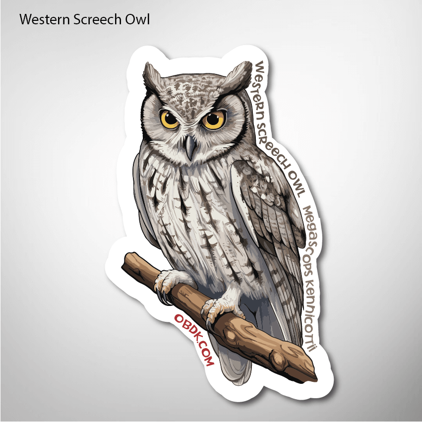 Wooden Screech Owl 1.9"x3" Vinyl Sticker – Owl Brand Discovery Kits