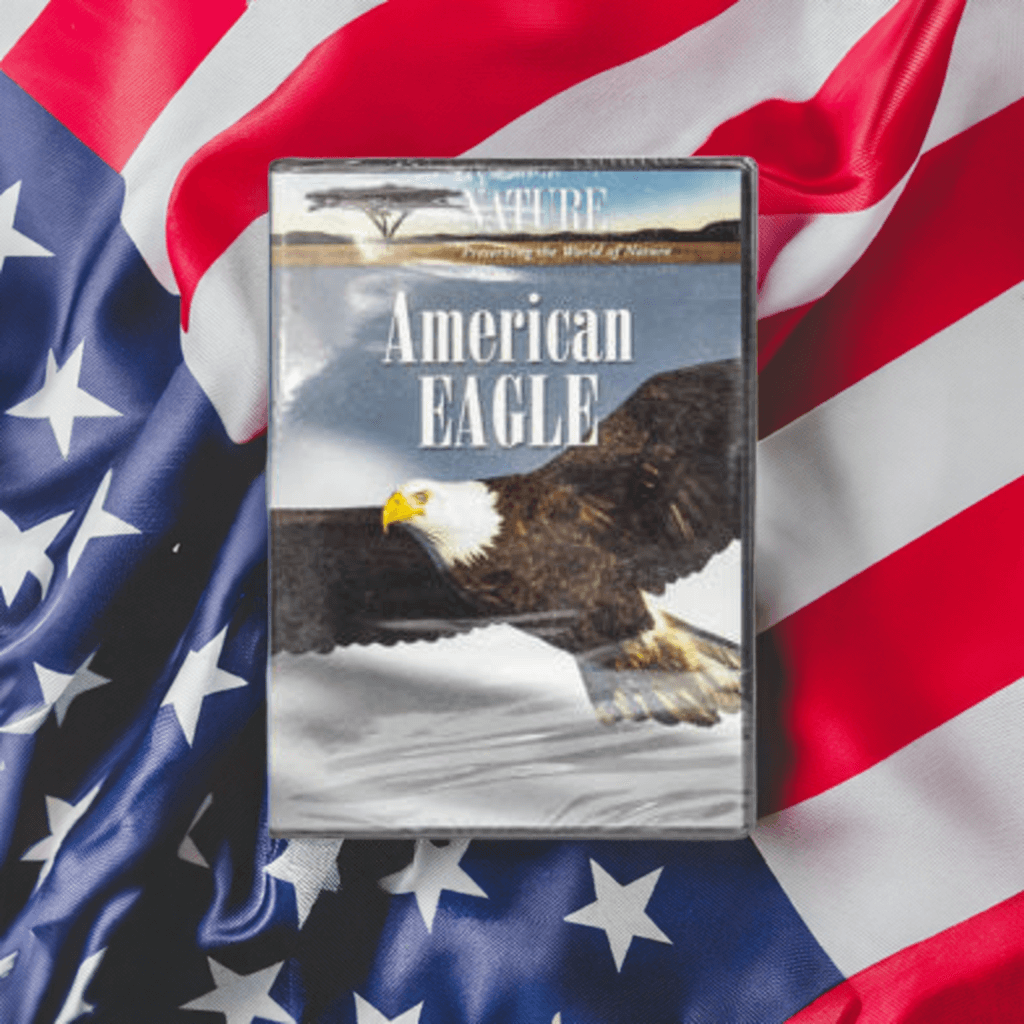 Nature: Eagle DVD – Owl Brand Discovery Kits