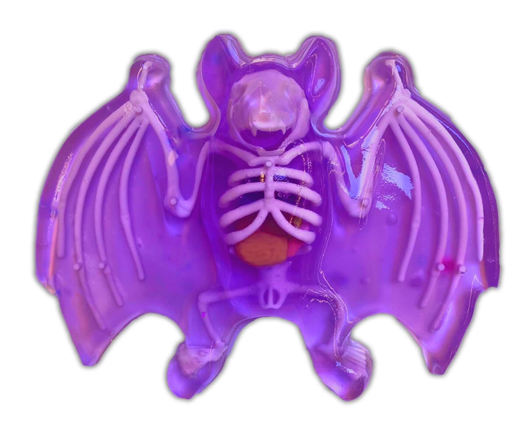 Dissect It Bat Lab – Owl Brand Discovery Kits