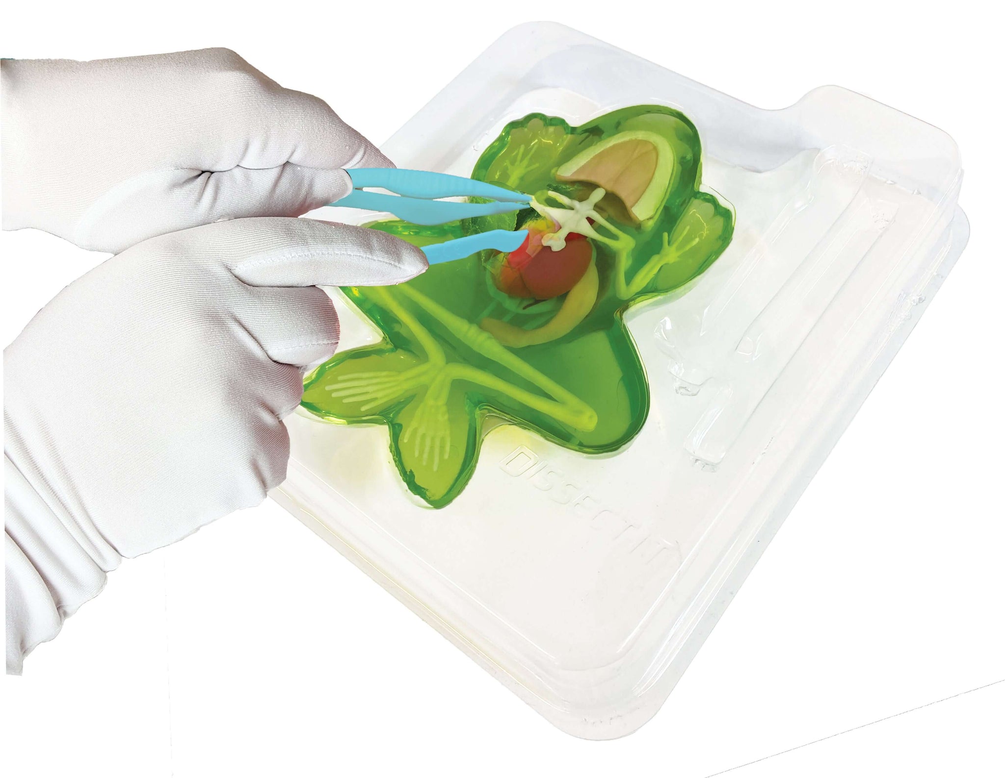 Dissect It Frog Lab – Owl Brand Discovery Kits