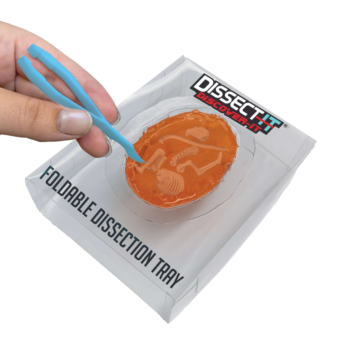 Discover It - Owl Pellet Lab – Owl Brand Discovery Kits