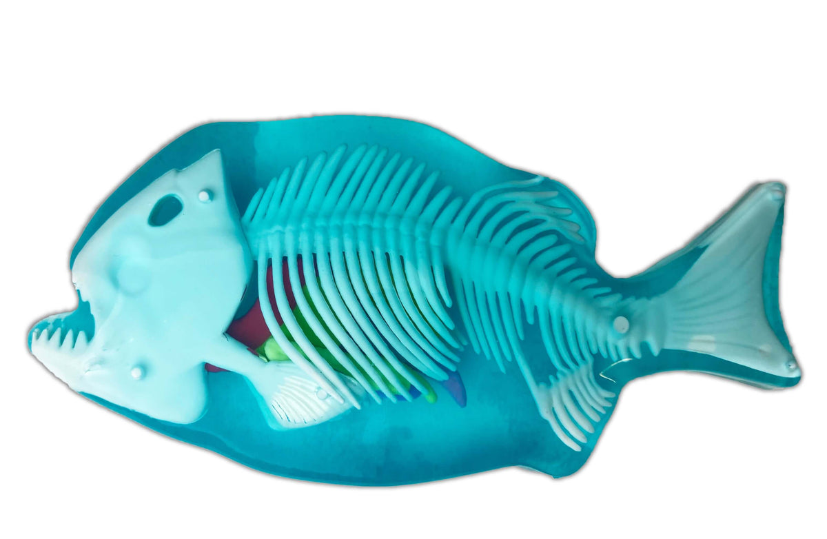 Dissect It Piranha Lab – Owl Brand Discovery Kits