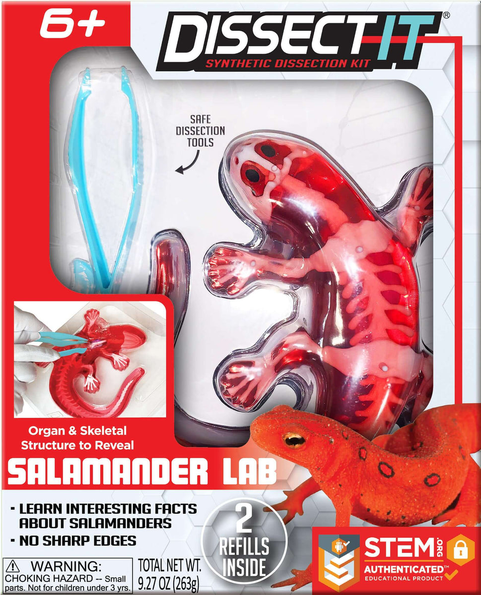 Dissect It Salamander Lab Owl Brand Discovery Kits