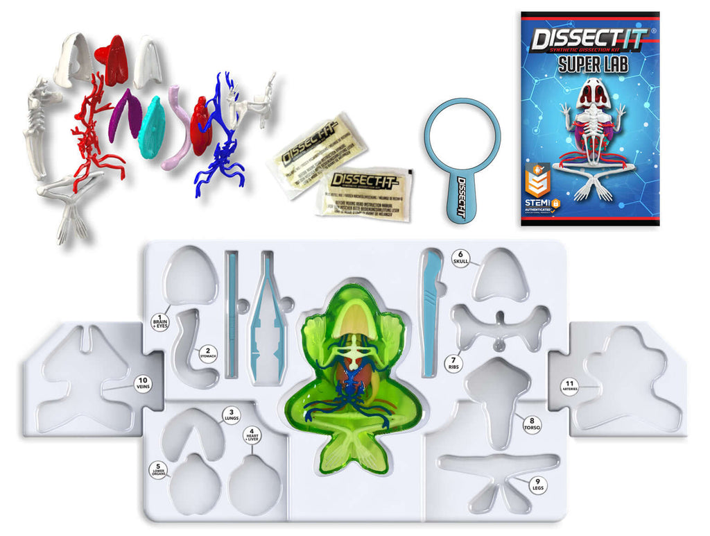 Dissect It Frog Super Lab – Owl Brand Discovery Kits